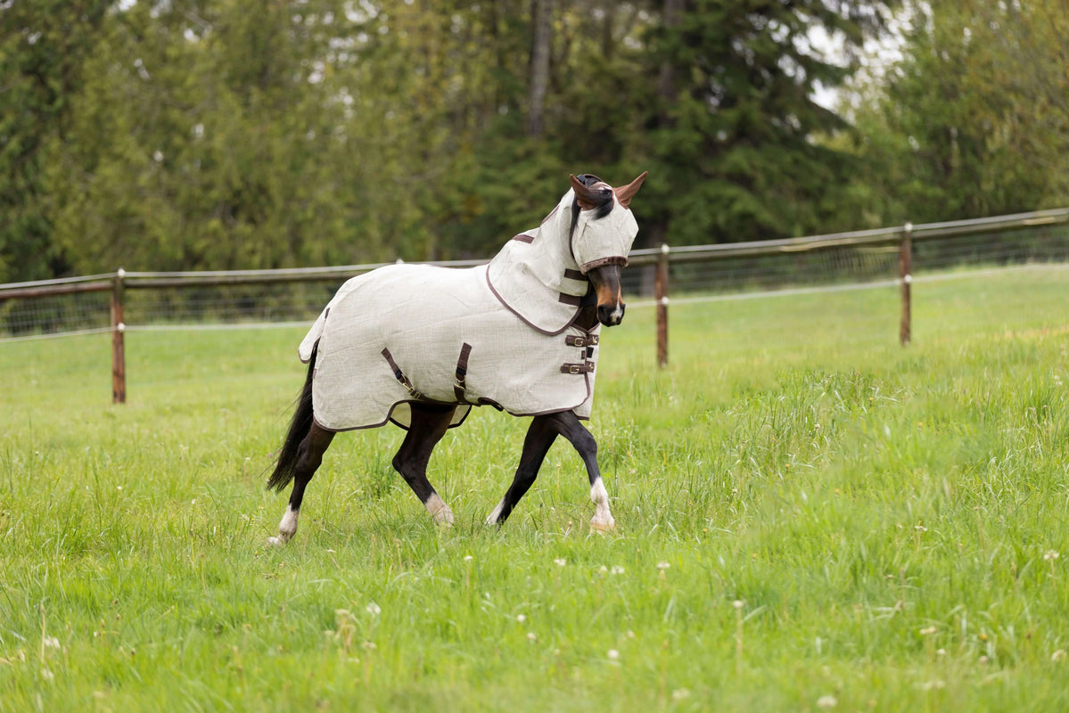 Choosing a Fly Sheet for Your Horse — Kensington