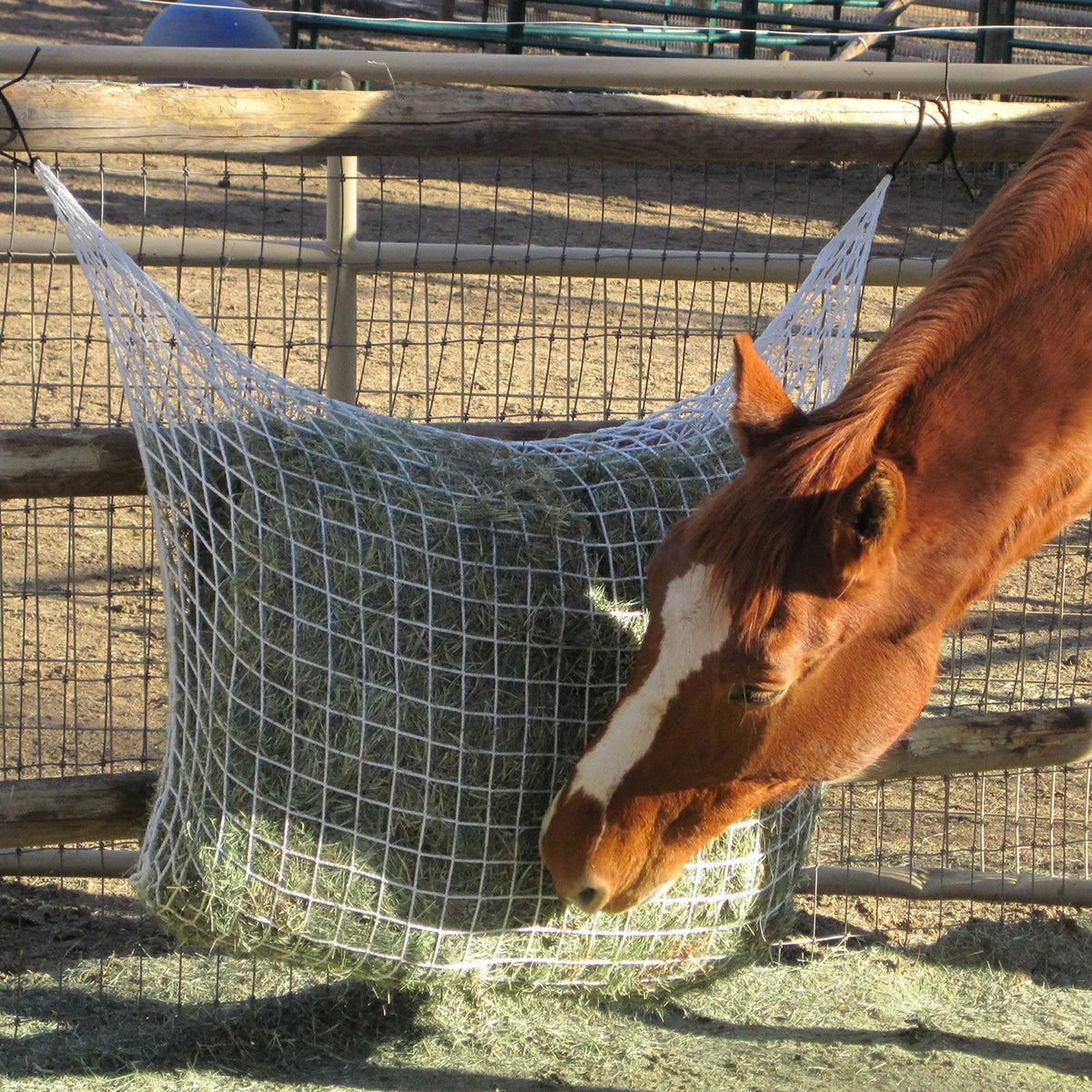 Slow Feed Hay Nets for Horses | Freedom Feeders — Kensington