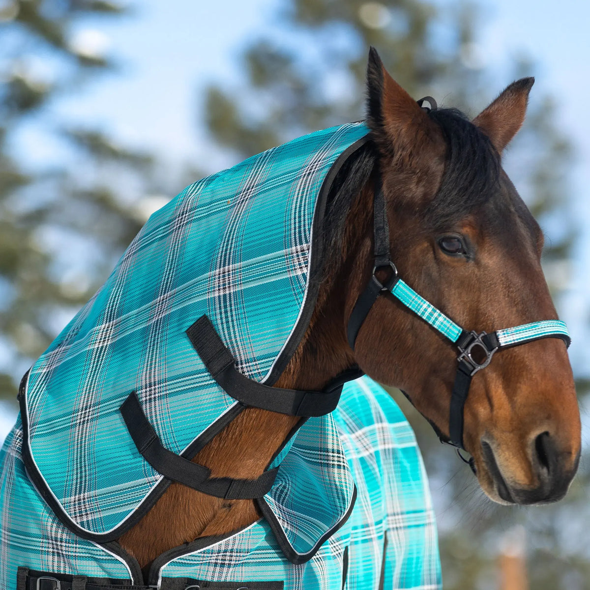 Kensington Equine Supermesh® Horse Winter Neck Warmer | Waterproof