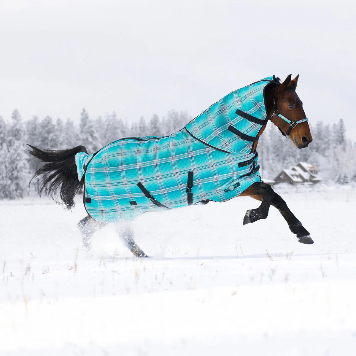 Supermesh® Winter Turnout Blanket - Supremely Durable, Waterproof & Br ...