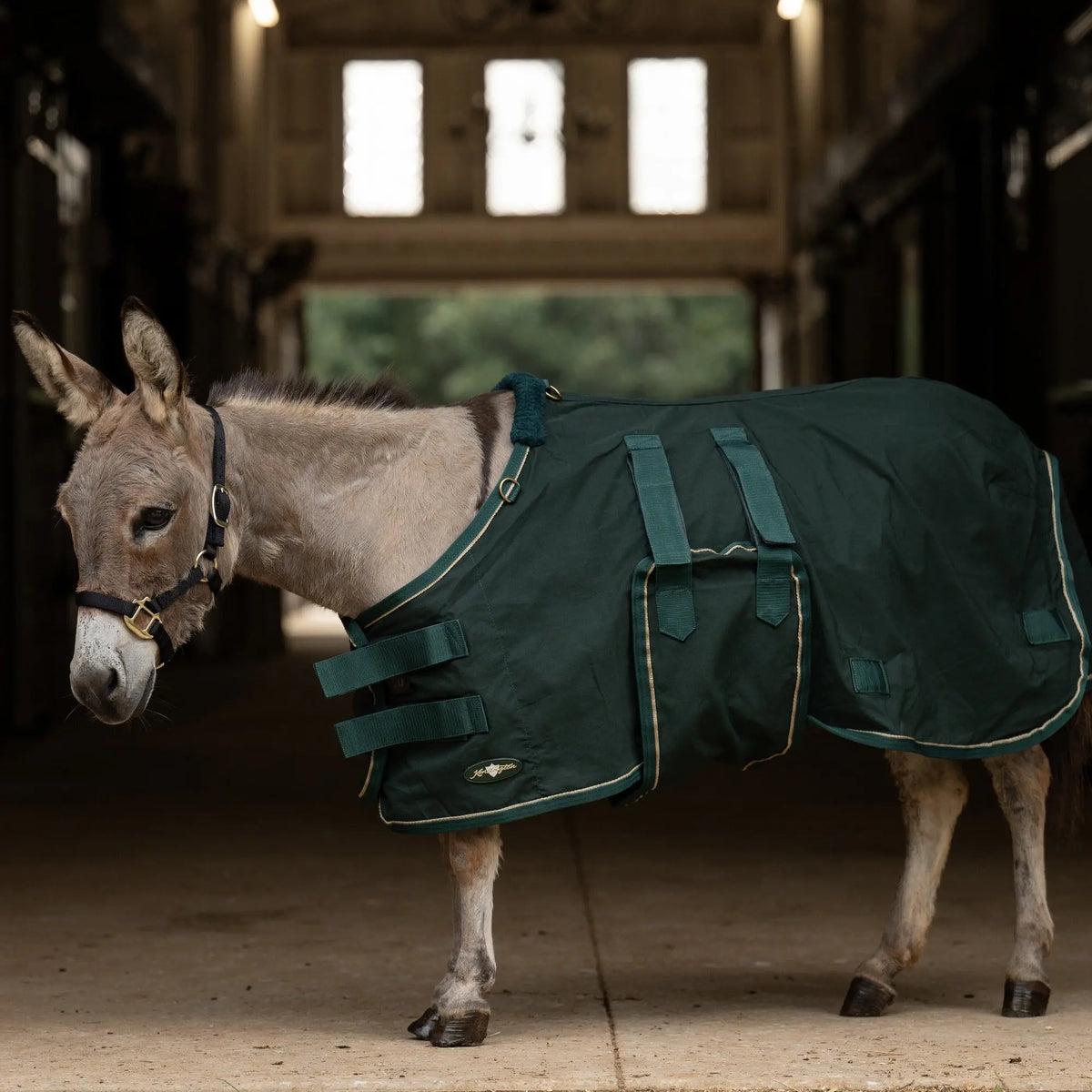 Mini Donkey & Horse – Lightweight Poly Cotton Stable Day Sheet — Kensington