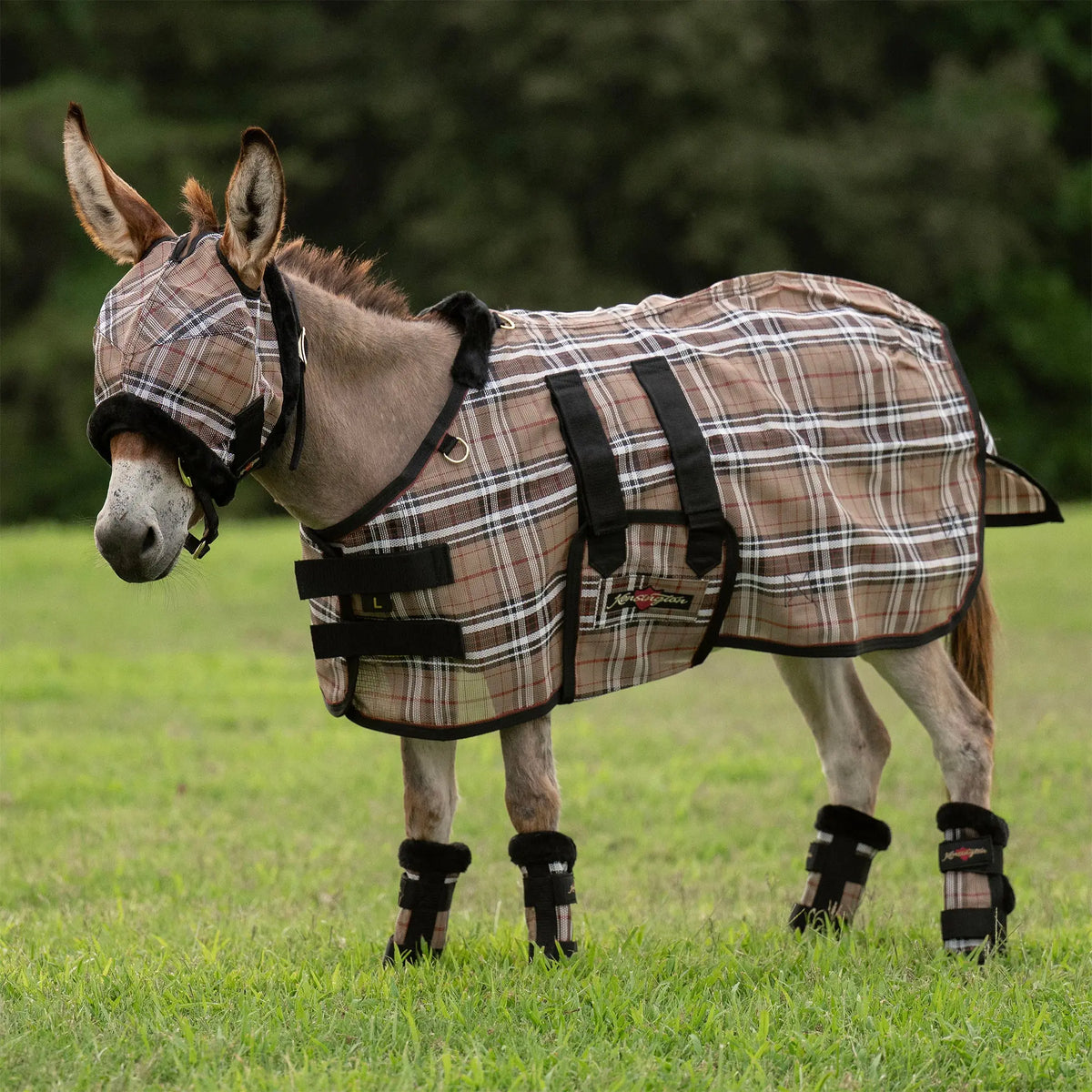 Best Mini Donkey & Horse Fly Sheet with Belly Band – 73% UV Protection ...
