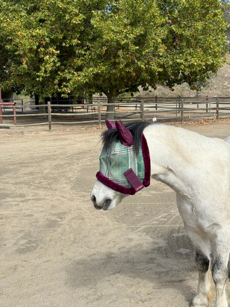 Mini/Pony Fly Mask with Fleece Trim & Soft Mesh Ears 73% UV *New Style ...