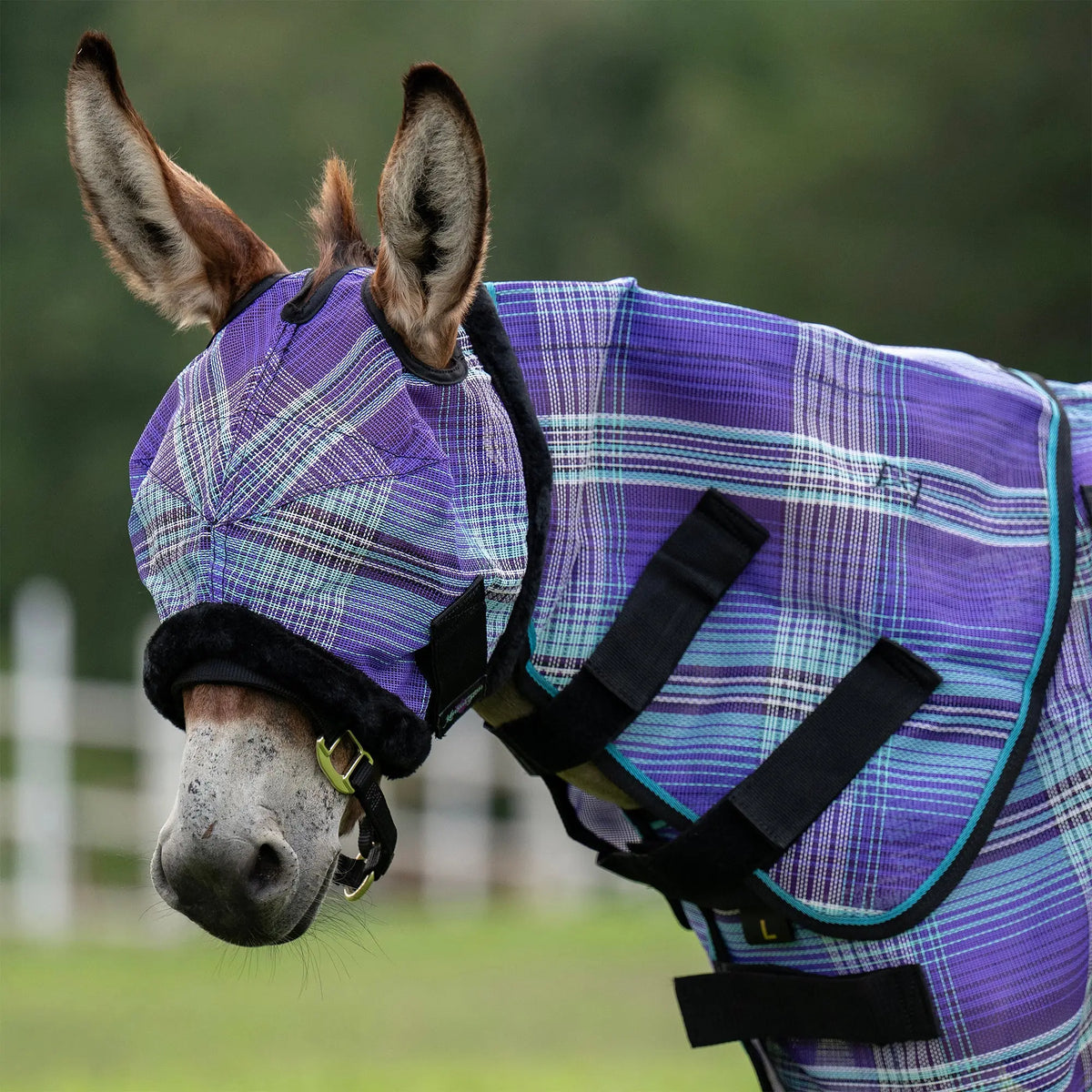 Mini Donkey & Horse Neck Cover – 73% UV Fly Protection — Kensington