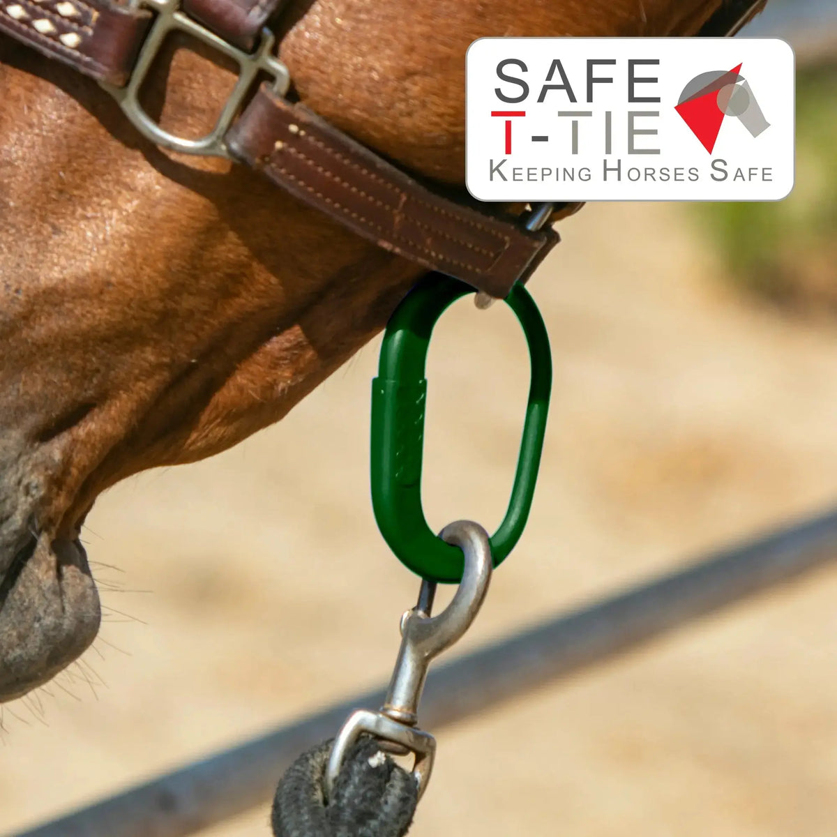 Safe-T-Tie | Reusable Equine Safety Breakaway for Tying Horses — Kensington