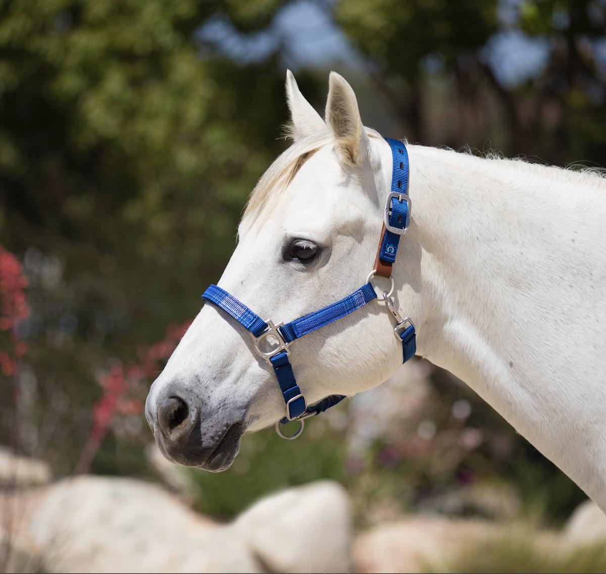 Contact Us — Kensington