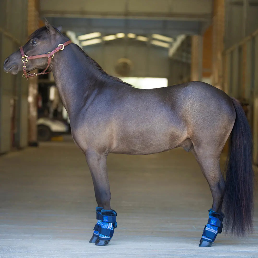 Mini Donkey & Horse Fly Boots – Set of 4 – 73% UV + Fly Protection ...